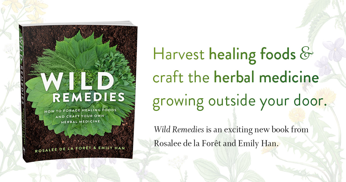 Wild Remedies: A book by Rosalee de la Forêt & Emily Han